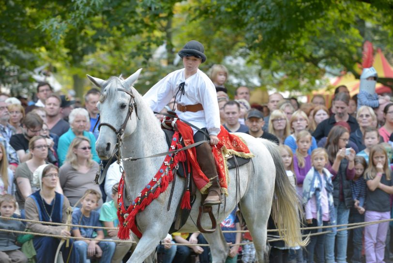 Ritter rund um das Schloss | halloherne.de