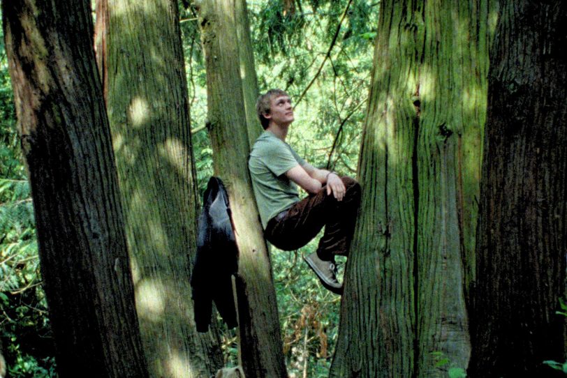 Drei Leben, drei Epochen, ein Baum | halloherne.de