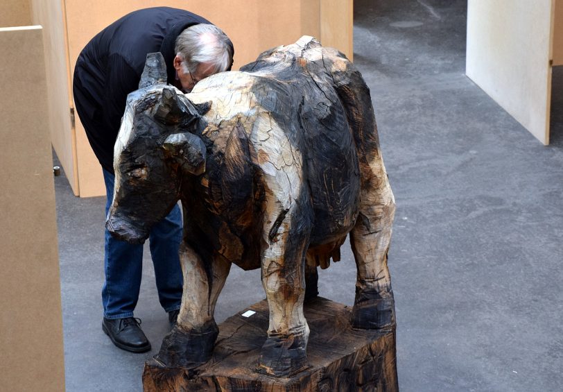 Die Kuboshow - ein echter Hingucker | halloherne.de