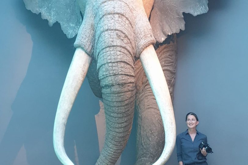 Die Welt des Neandertalers entdecken | halloherne.de